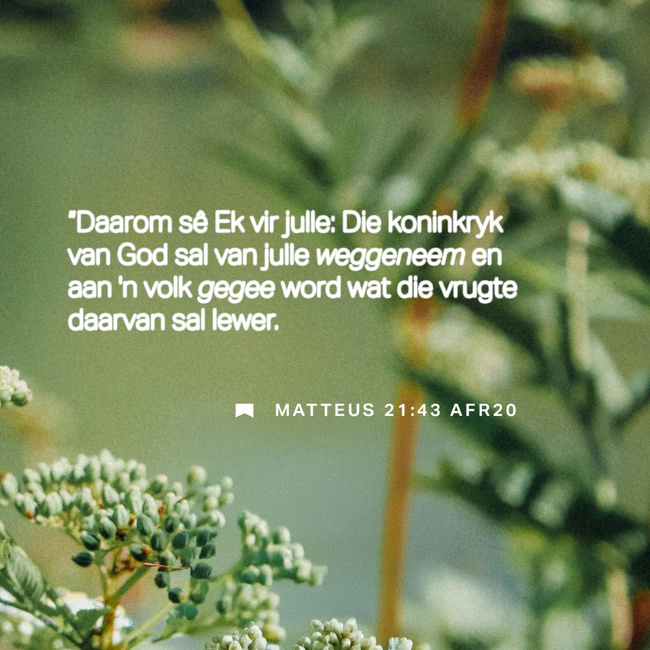Matteus 21:43 “Daarom sê Ek vir julle: Die •koninkryk van God sal van ...