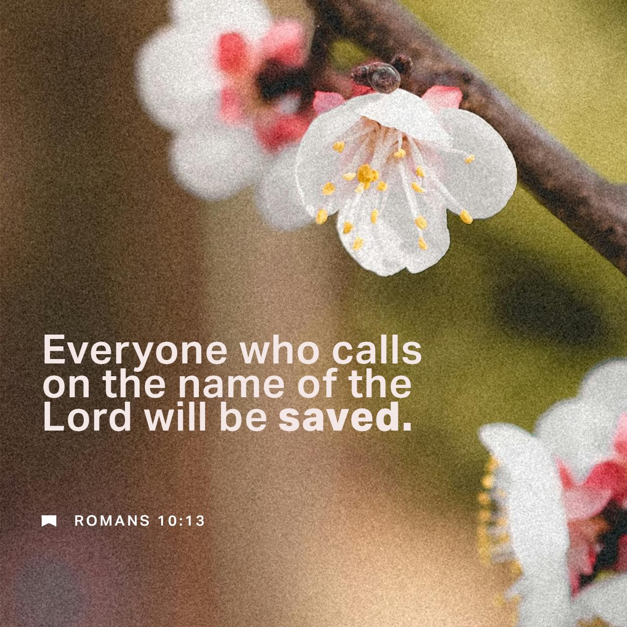 Romans 10:13 For everyone who calls on the name of the Lord shall be ...