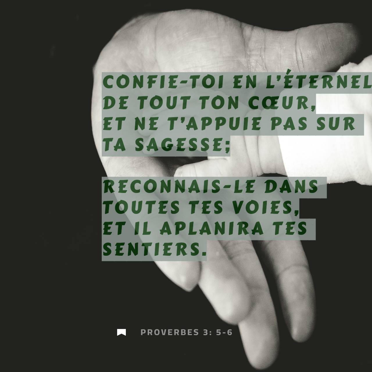 Proverbes 3:5-6 Confie-toi de tout ton cœur à l’ÉTERNEL, et ne t’appuie ...
