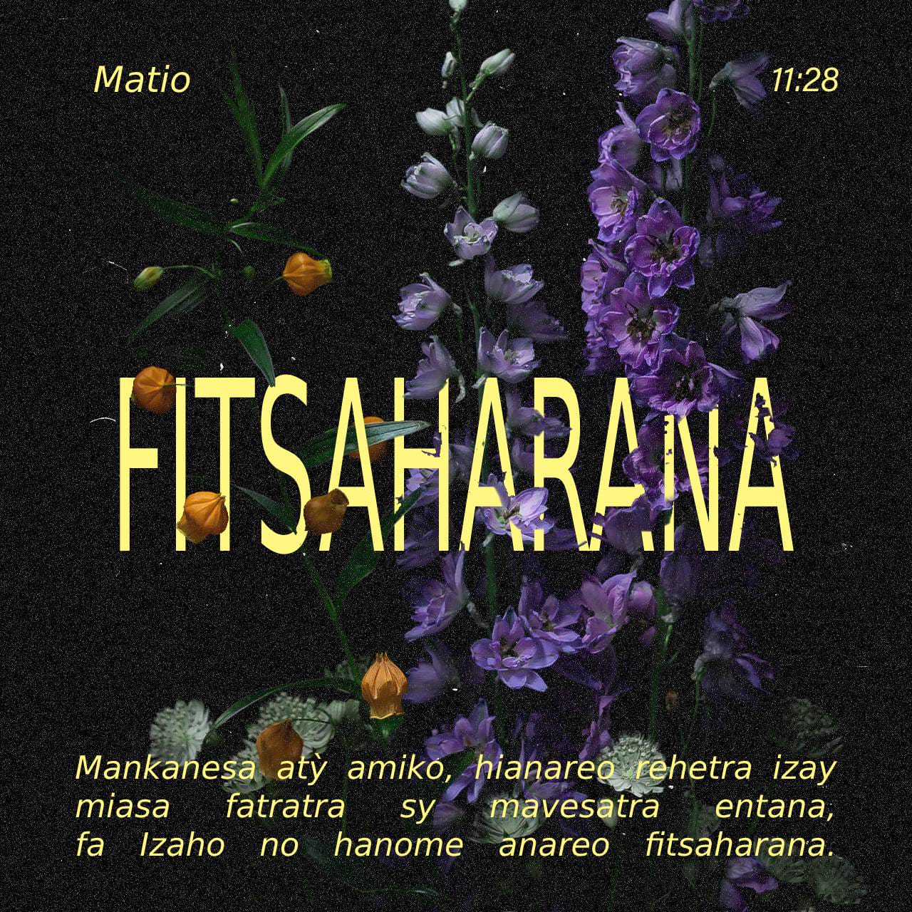 Matio 11:28-29 (MG1865) - Mankanesa atỳ amiko, ianareo rehetr | YouVersion