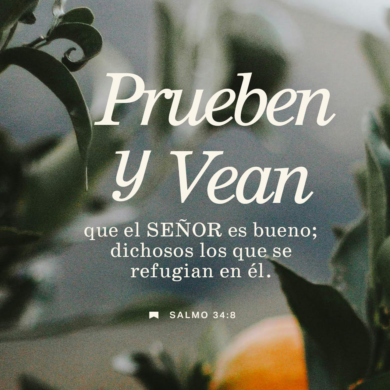 SALMOS 34:7-20 El ángel del SEÑOR acampa alrededor de los que le temen ...