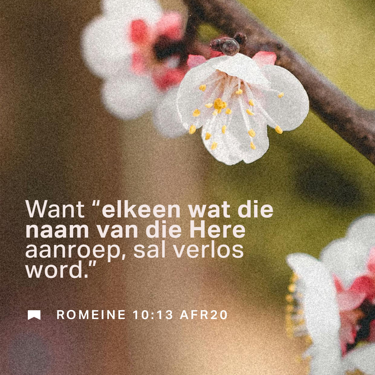 Romeine 10:12-13 Dit maak inderdaad geen verskil of jy 'n Jood of 'n ...