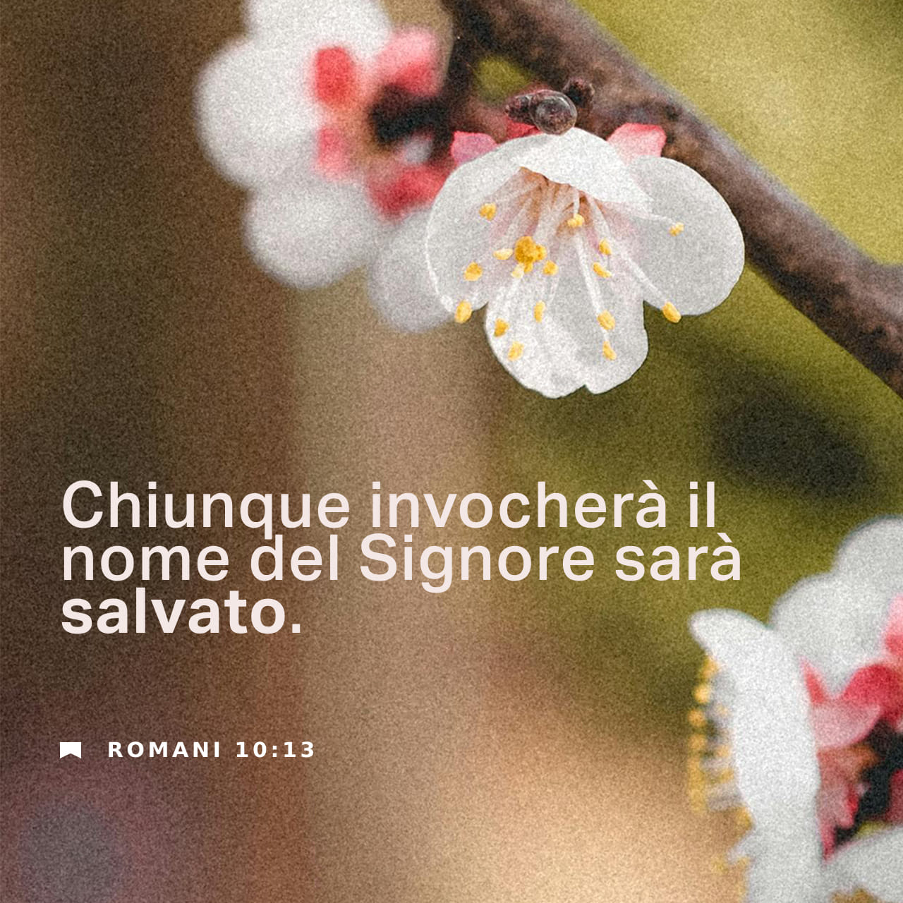 Lettera ai Romani 10:12-13 - Compare All Versions | YouVersion