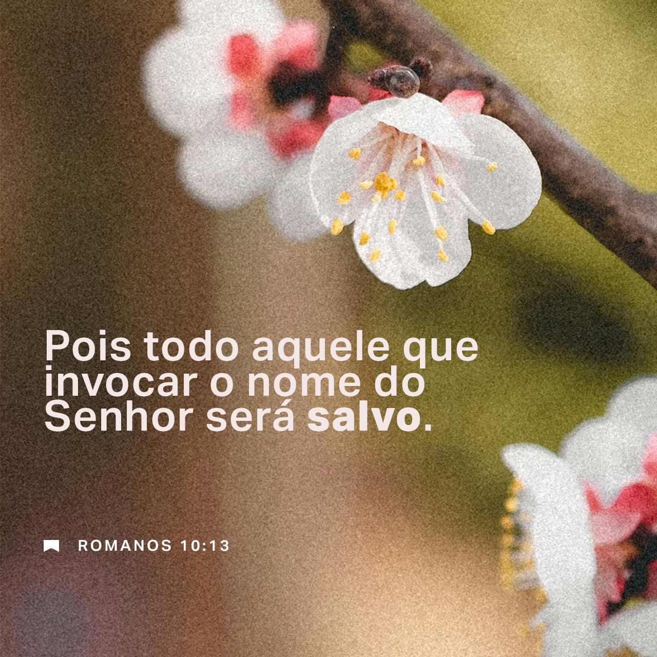 Romanos 10:13 (ARA) - Porque: Todo aquele que invocar o n | YouVersion