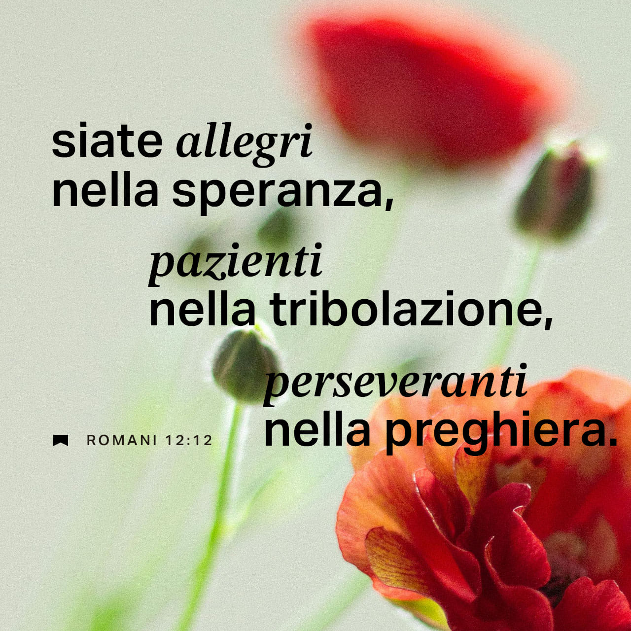 Lettera ai Romani 12:12 siate allegri nella speranza, pazienti nella ...