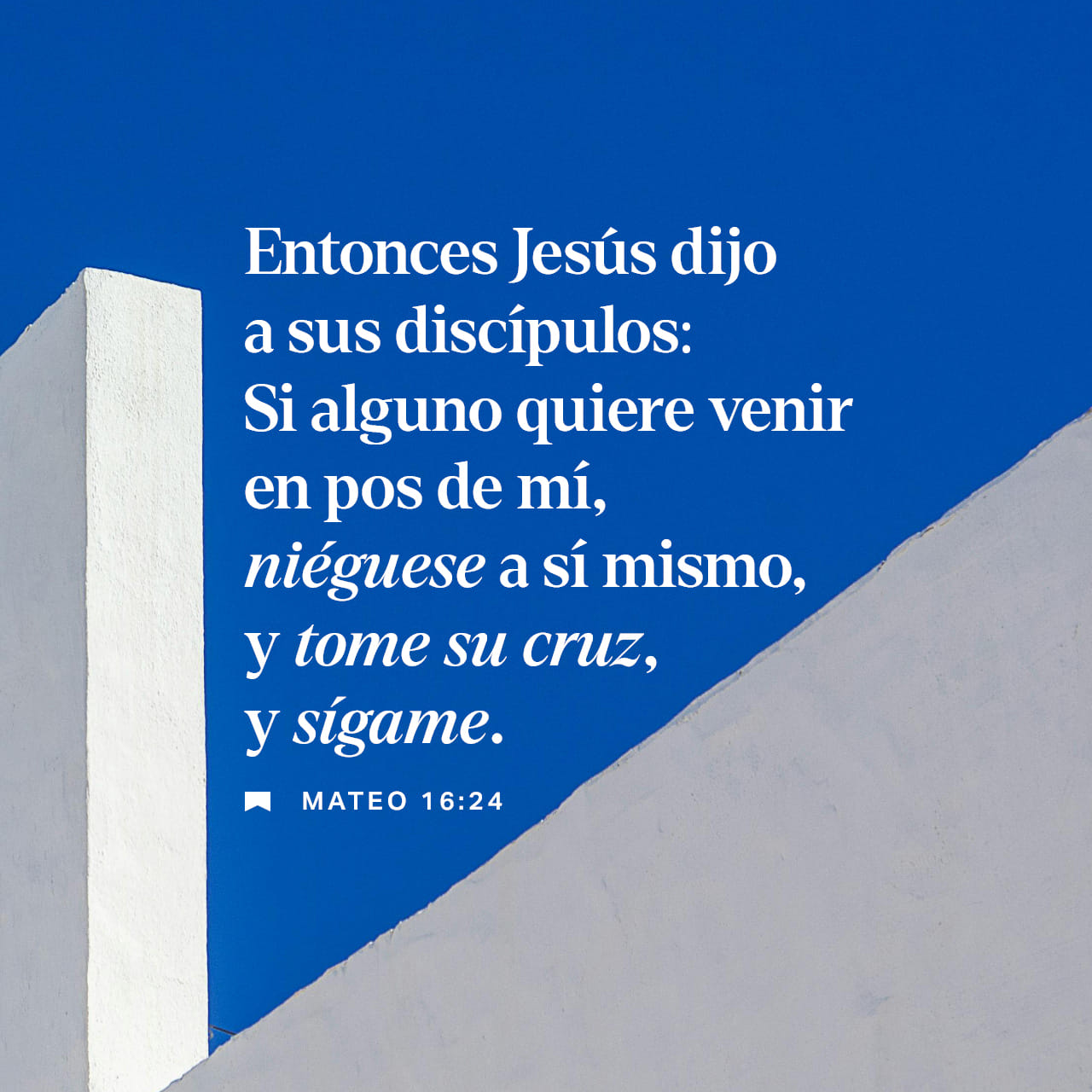 San Mateo 16:24, 26 Entonces Jesús dijo a sus discípulos: Si alguno ...