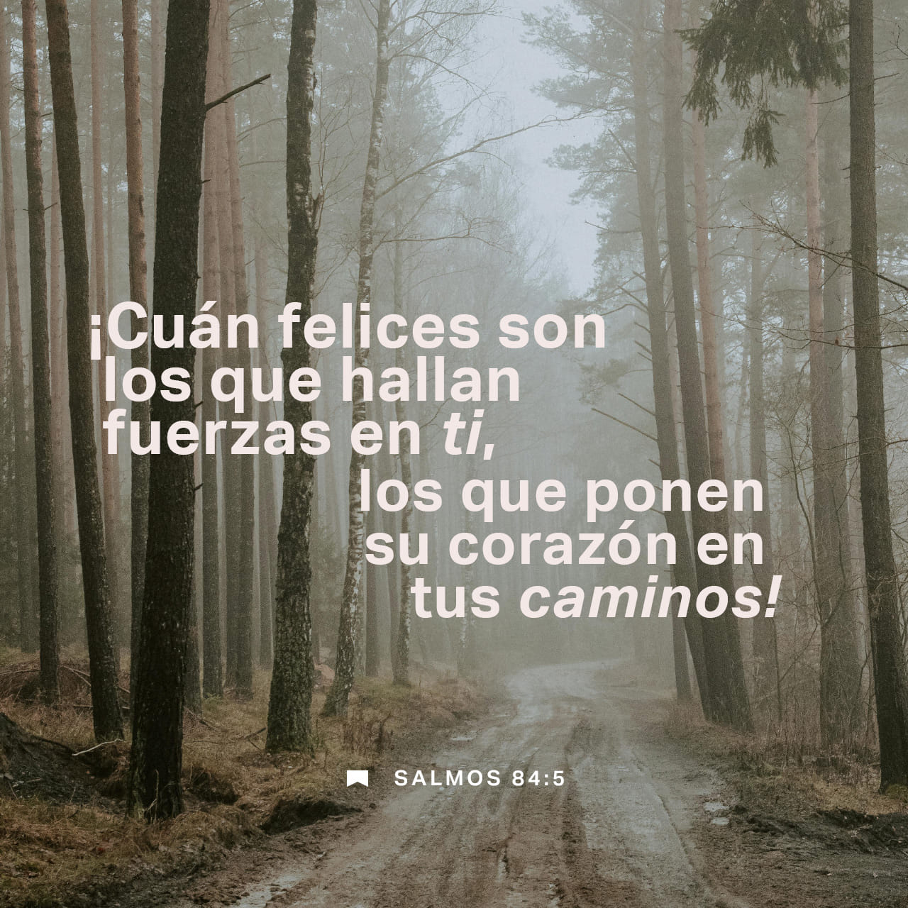 Salmos 84:5 ¡Qué alegría para los que reciben su fuerza del SEÑOR, los ...