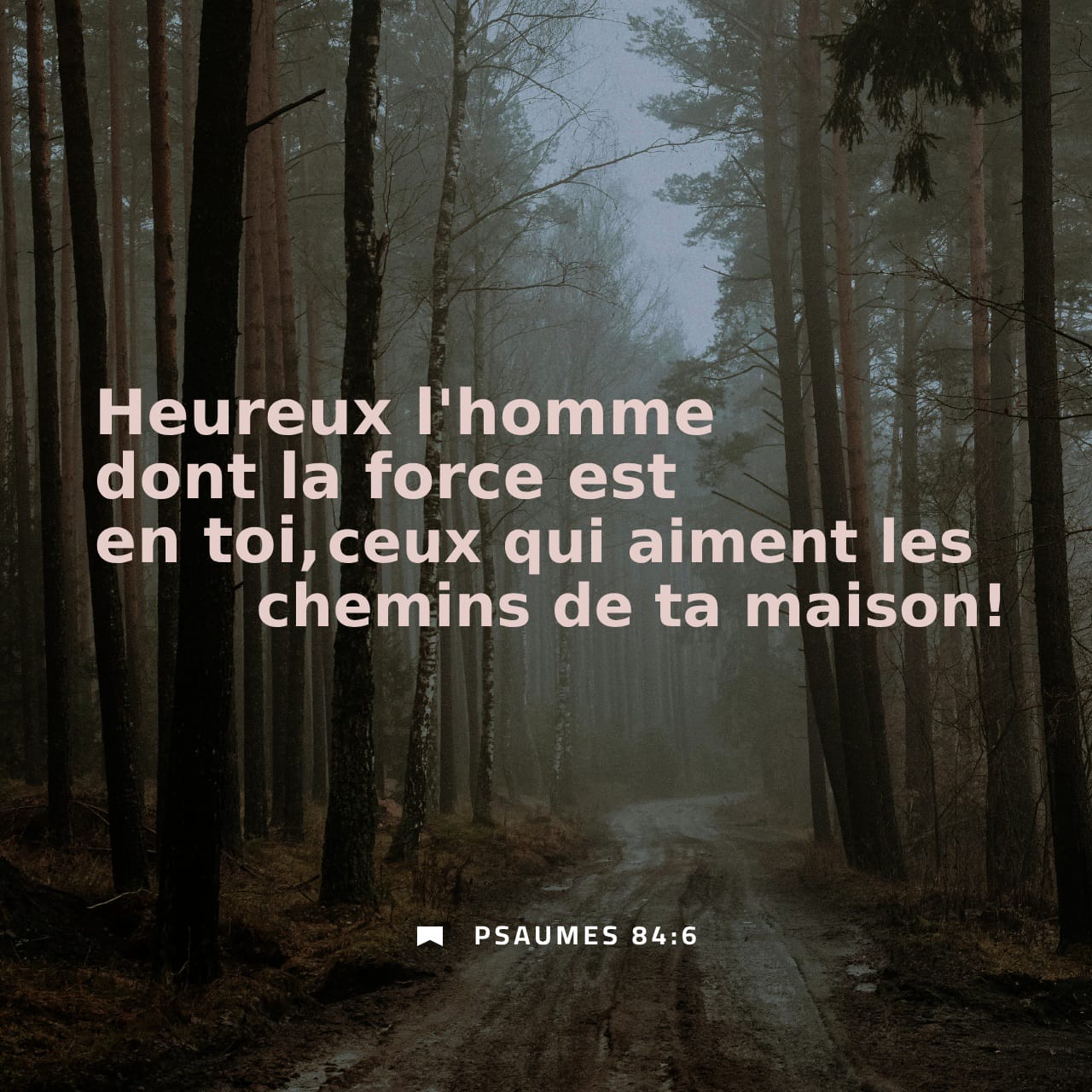 Psaumes 84:5 (PDV2017) - Ils sont heureux, ceux qui habitent | YouVersion