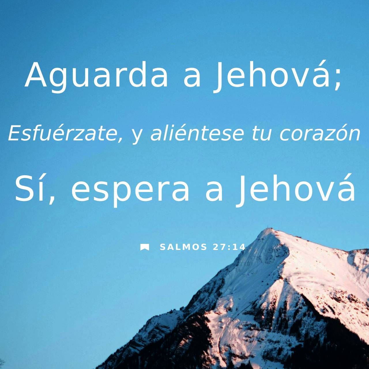SALMOS 27:13-14 (RVR1960) - Hubiera yo desmayado, si no creyese ...