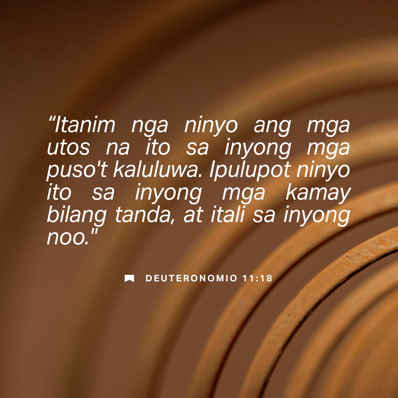DEUTERONOMIO 11:18 Kaya't inyong ilalagak itong aking mga salita sa ...