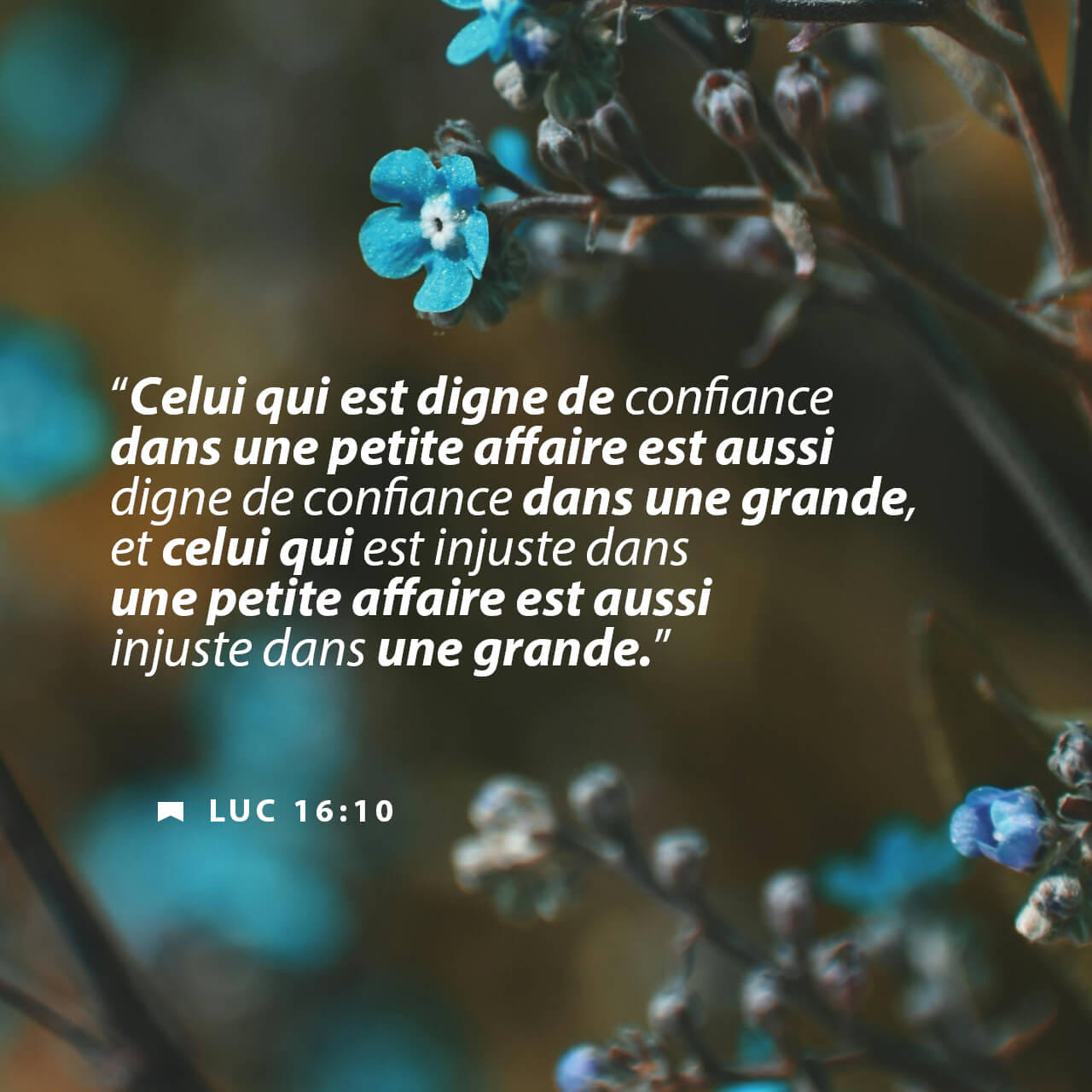 Luc 16:10-15 (BFC) - Celui qui est fidèle dans les petit | YouVersion