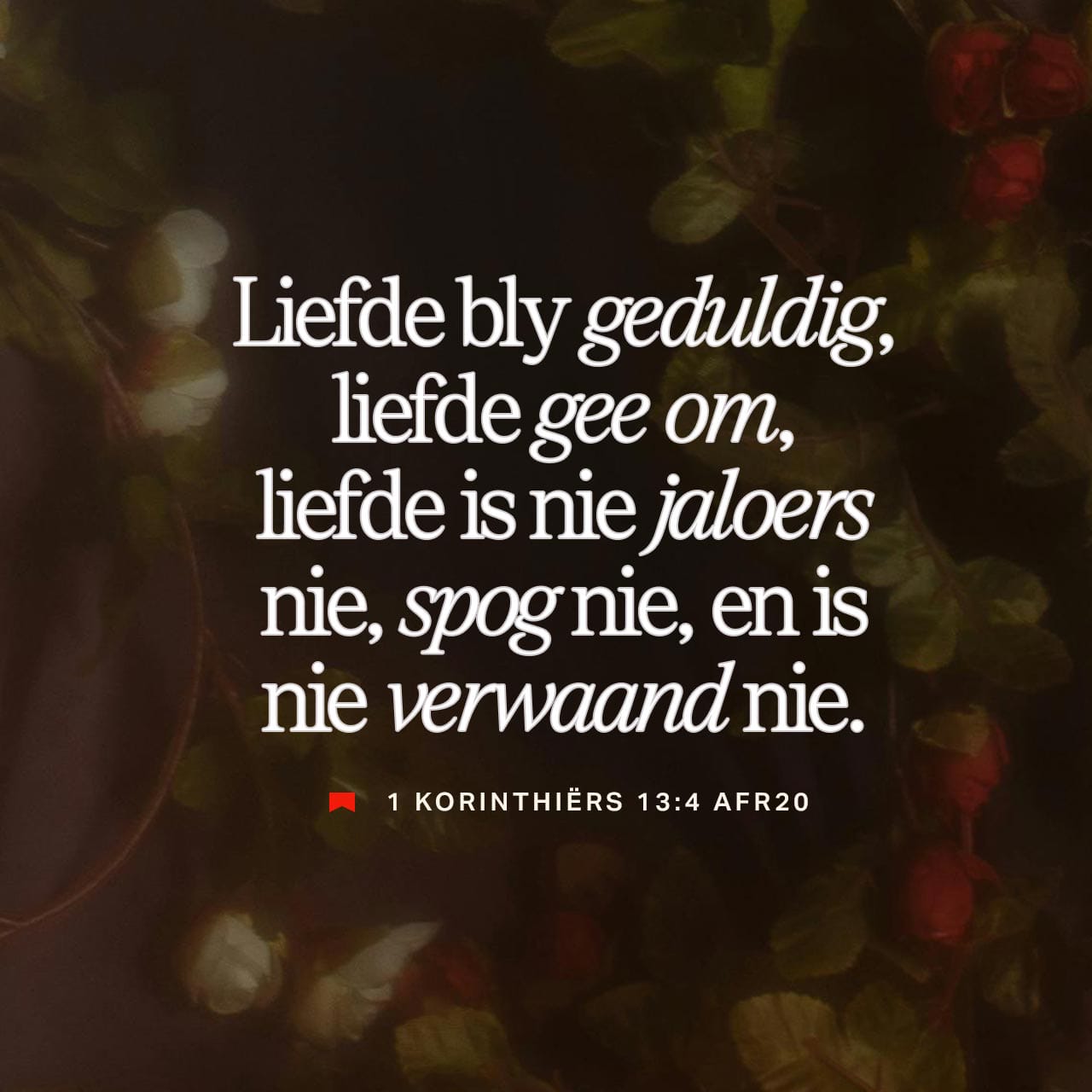 1 KORINTIËRS 13:4, 6-10 (AFR83) - Die liefde is geduldig, die liefde ...