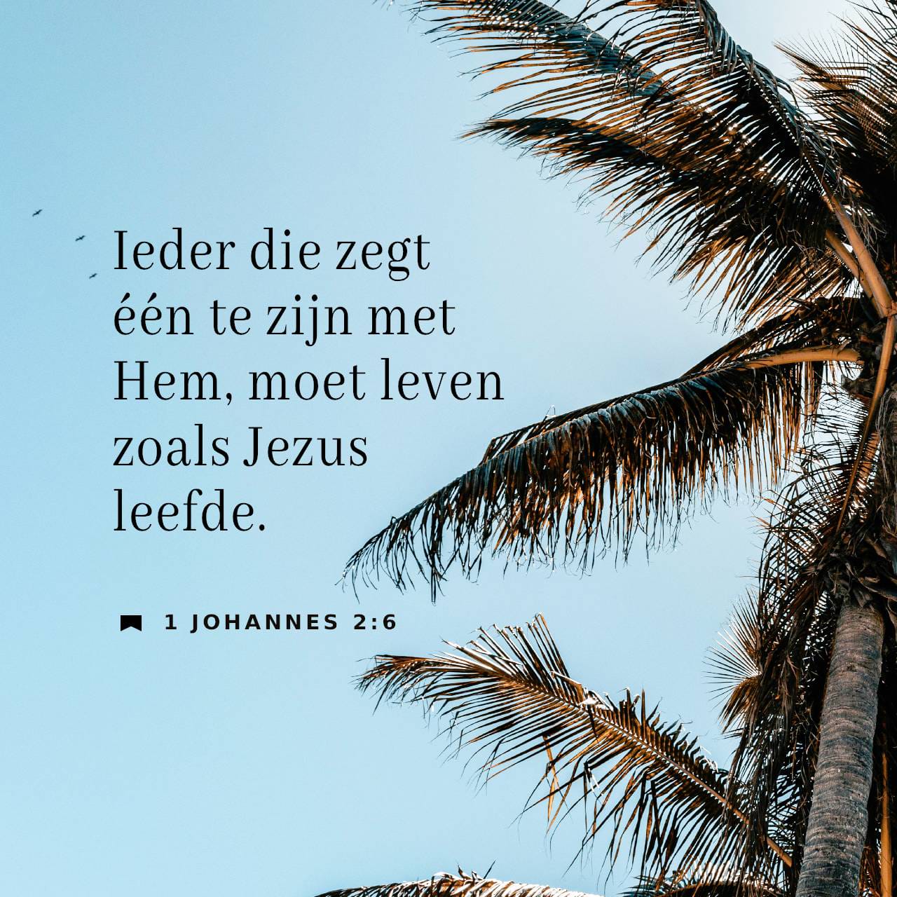 1 Johannes 2:6 Als je zegt dat je bij Hem hoort, moet je ook net zo ...