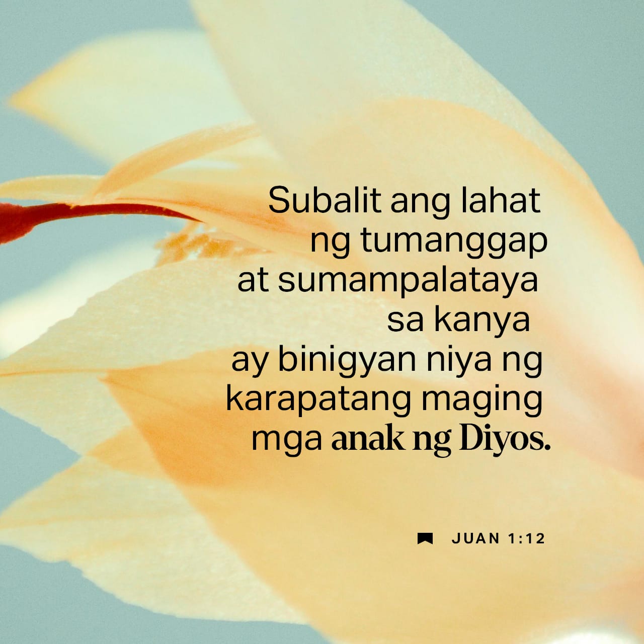 John Bible Tagalog