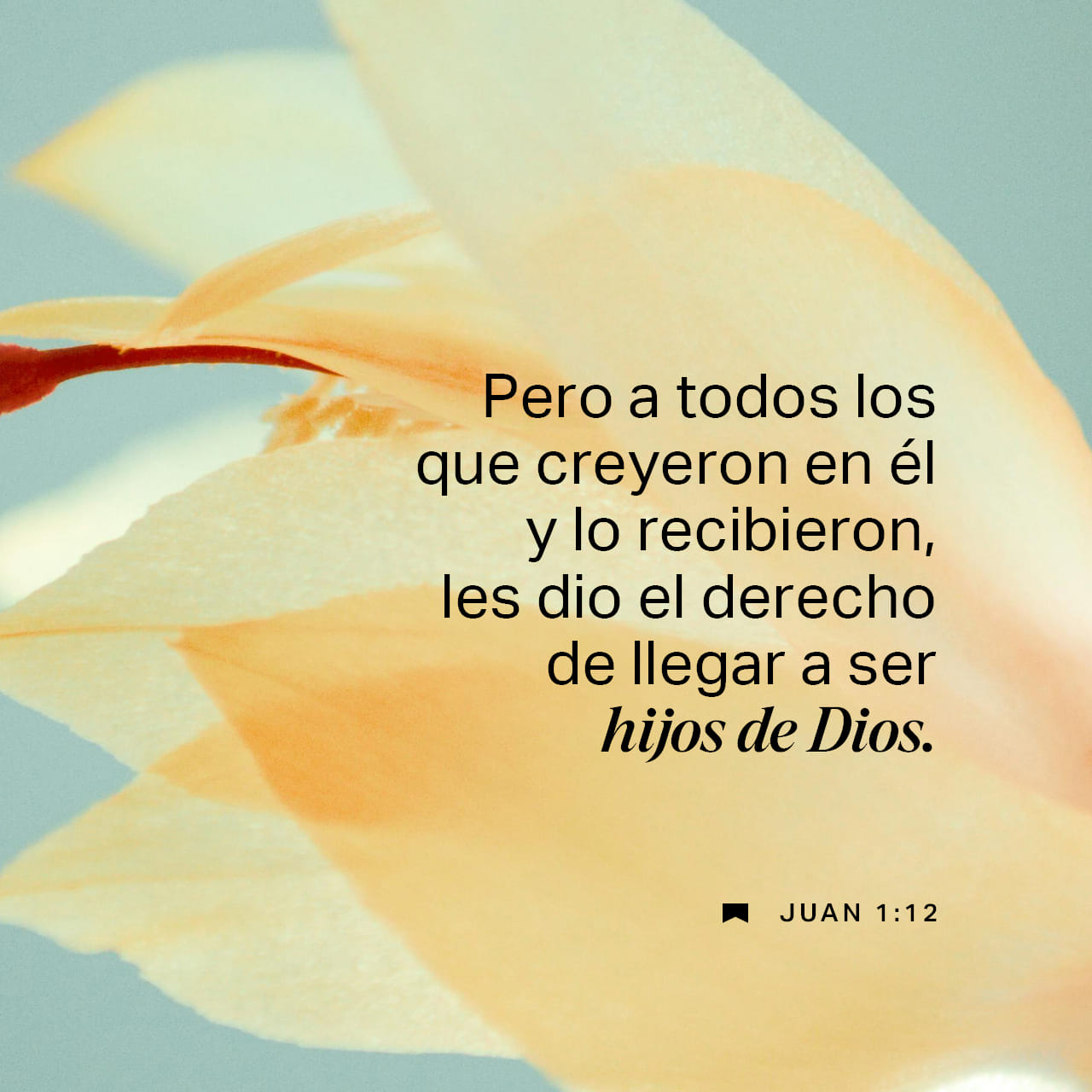 Citas De Hijos De Dios