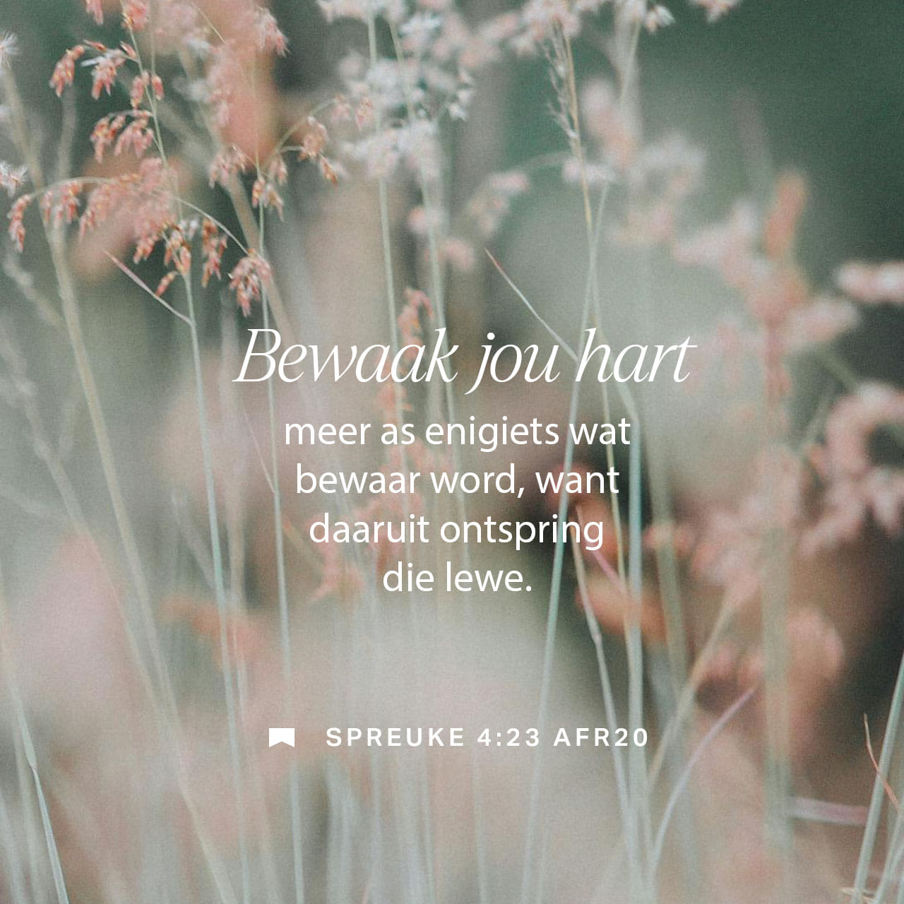 SPREUKE 4:23-27 (AFR53) - Bewaak jou hart meer as alles wat b | YouVersion