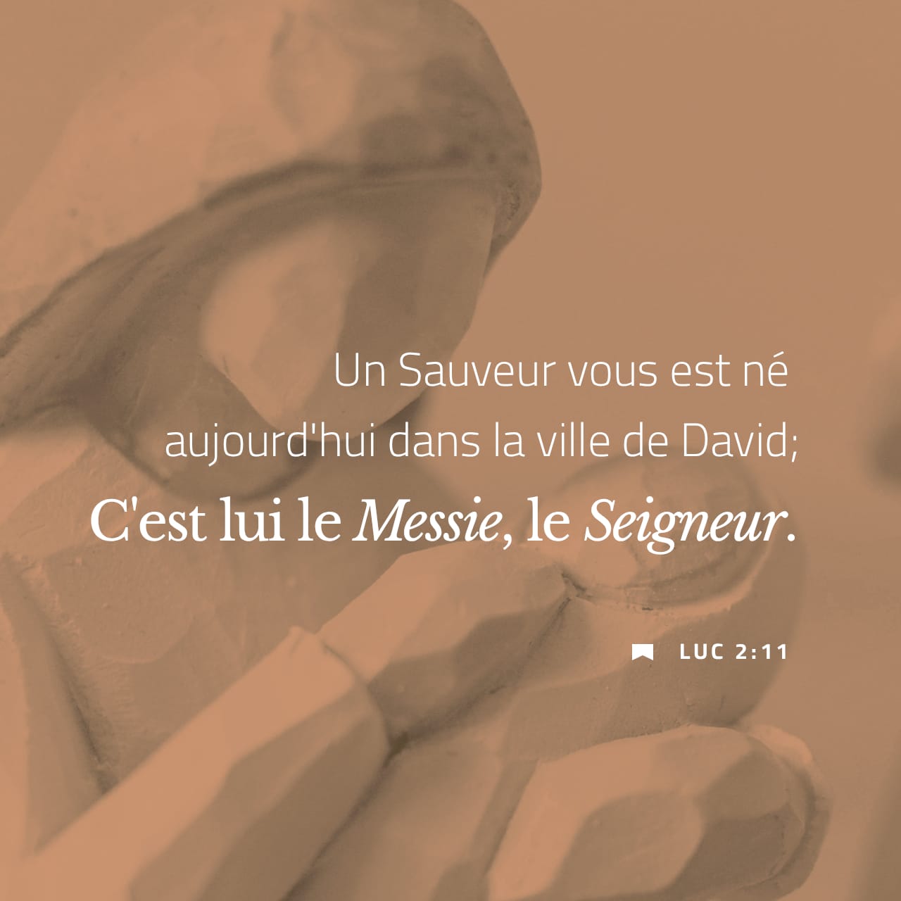 Luc 2:10-11 (LSG) - Mais l’ange leur dit: Ne craignez p | YouVersion