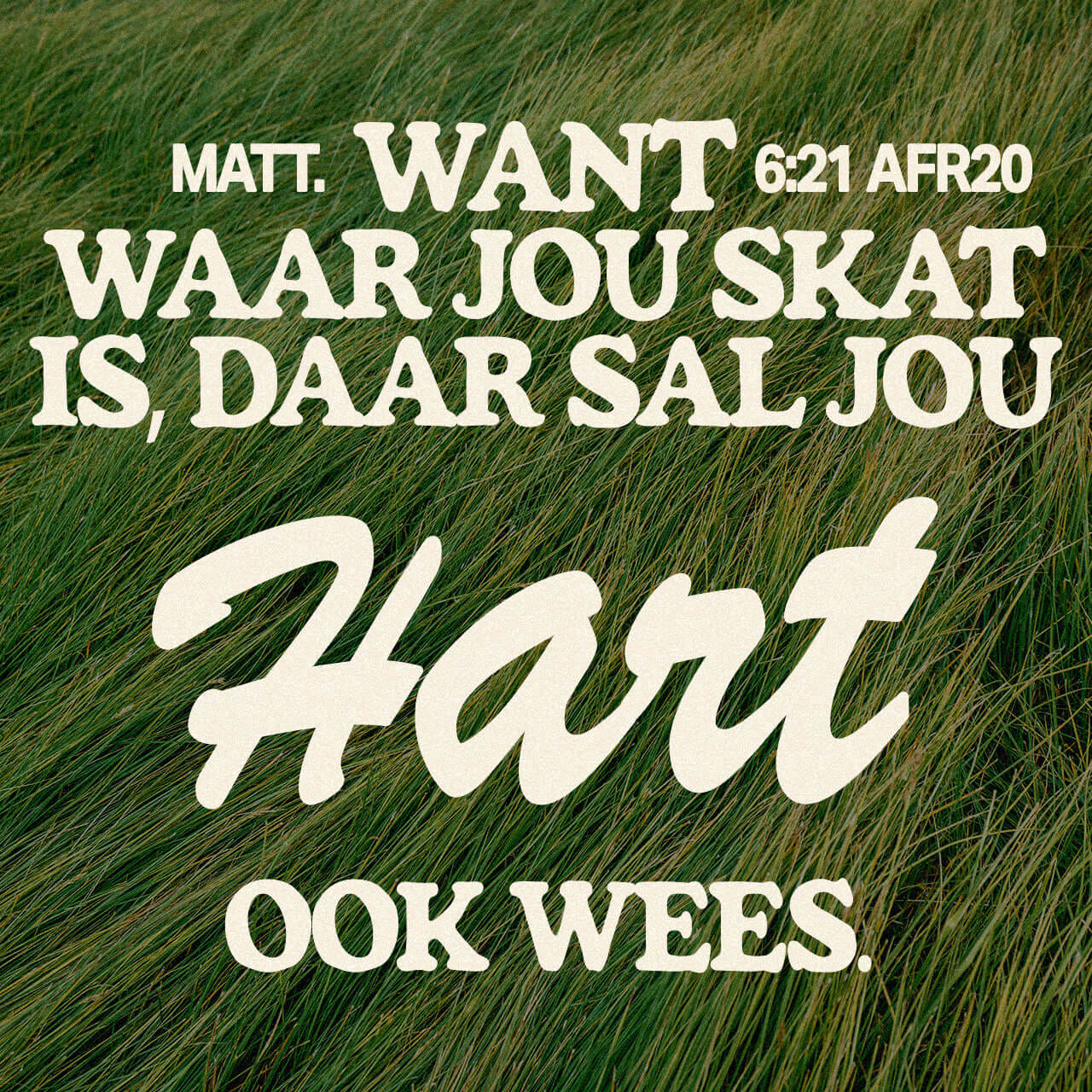Matteus 6:21 (AFR20) - Want waar jou skat is, daar sal jou | YouVersion