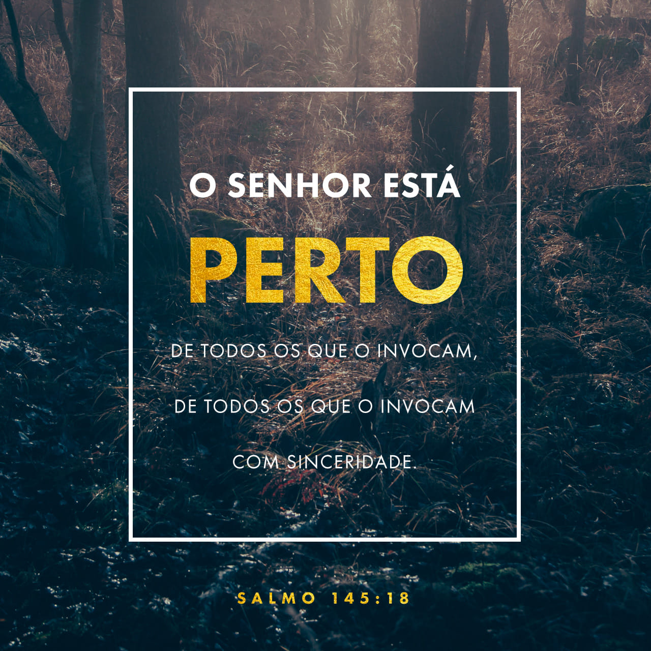 Salmos 145:19 Ele atende aos pedidos daqueles que amam e obedecem as ...