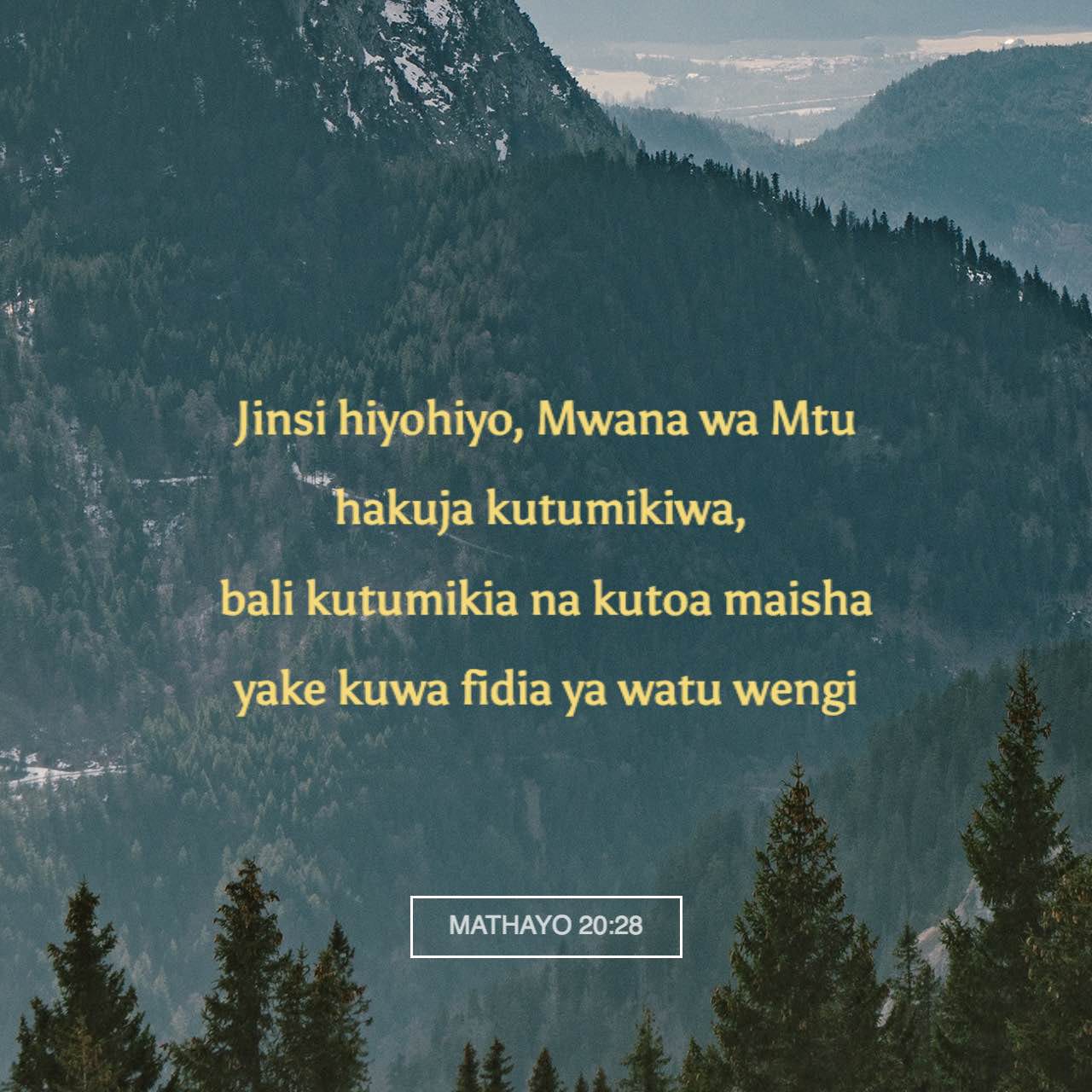 Mathayo 20:26-28 Lakini kwenu isiwe hivyo, ila anayetaka kuwa mkuu kati ...
