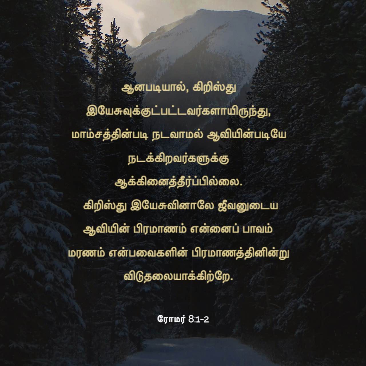 Top Bible verses from ரோமர் 8 | Bible Verses | YouVersion
