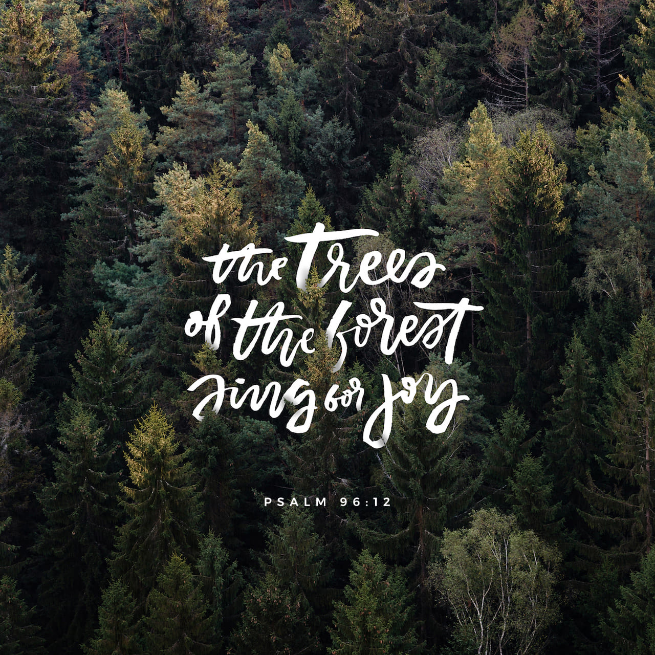 Psalm 96 The Message NoumanTitas Psalm 96 The Message NoumanTitas