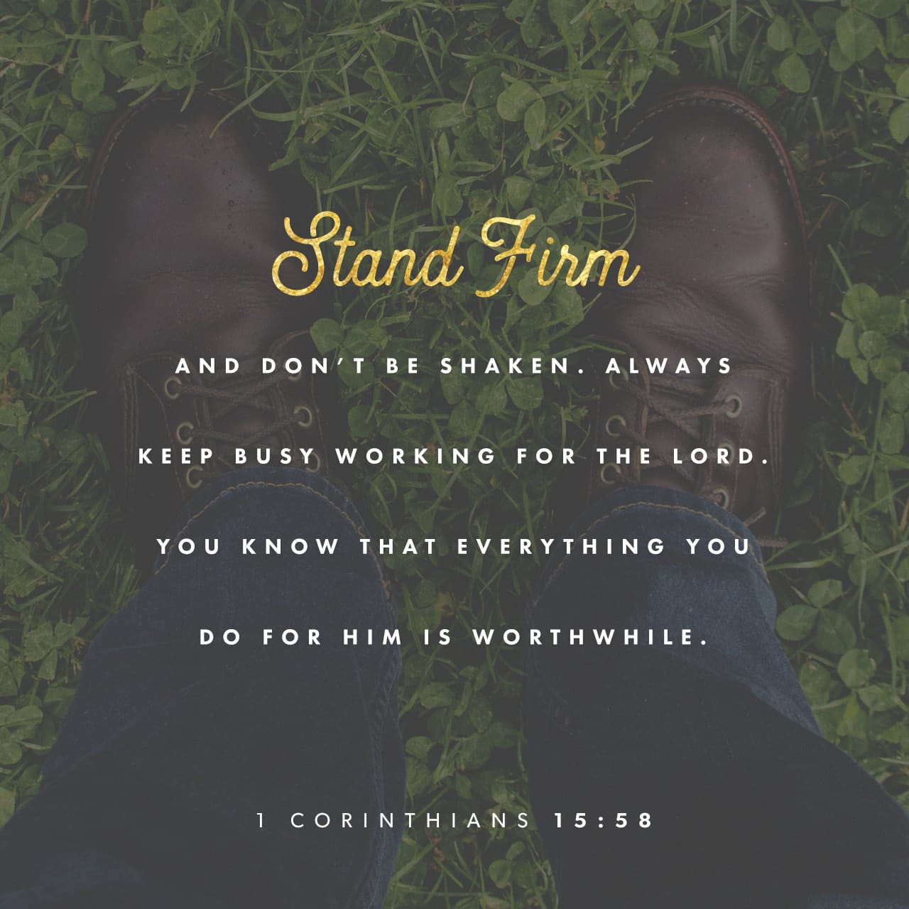 1 Corinthians 15 58 Therefore My Beloved Brethren Be Steadfast 1 Corinthians 15 58 Therefore My Beloved Brethren Be Steadfast