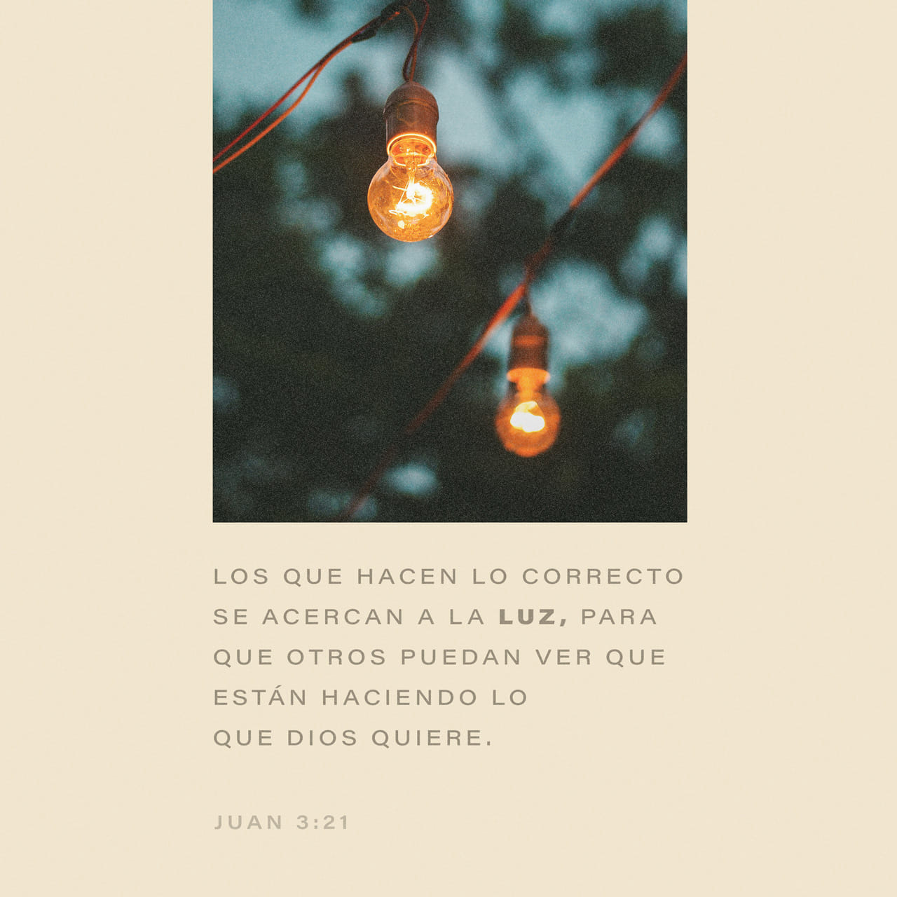 S. Juan 3:20-30 Porque todo aquel que hace lo malo, aborrece la luz y ...