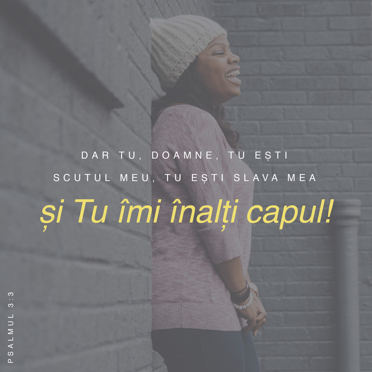 Psalmul 3:3 Dar tu, DOAMNE, ești un scut pentru mine; gloria mea și cel ...