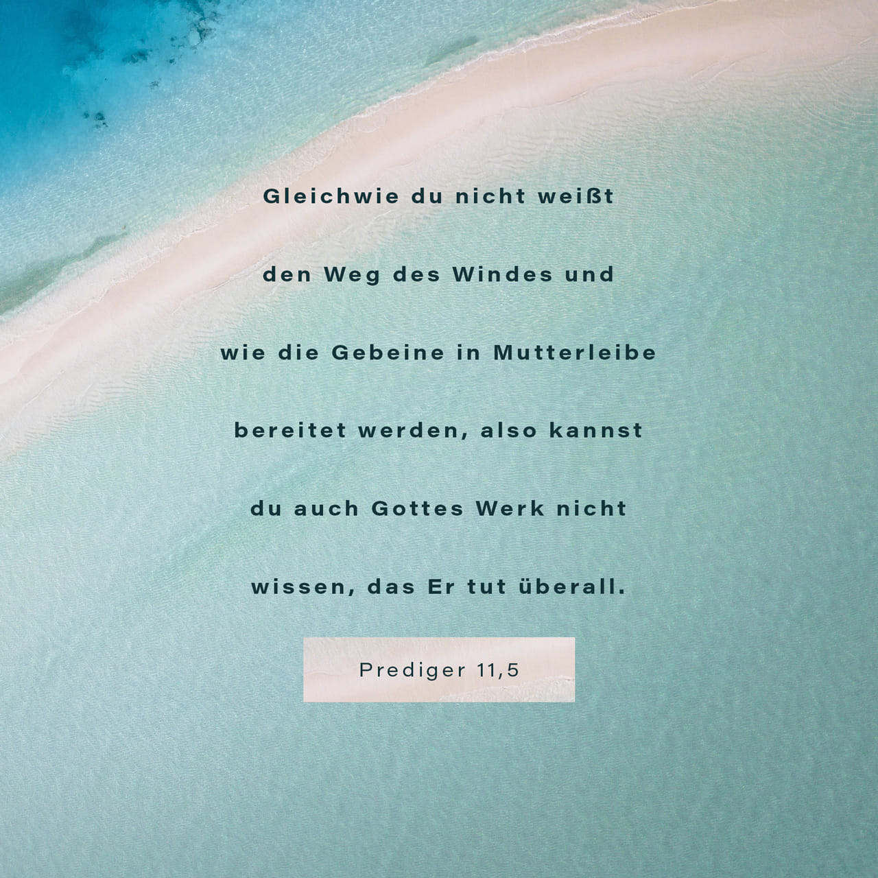 Prediger Bibel