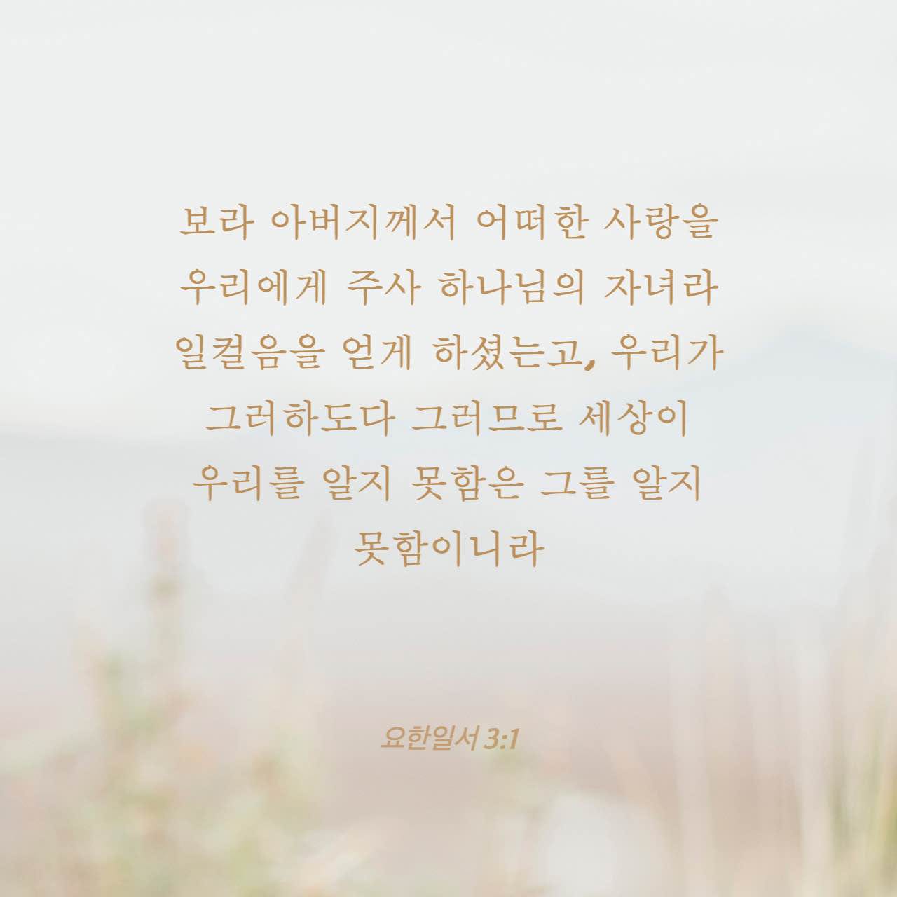 요한일서 3 1 3 보라 아버지께서 어떠한 사랑을 우리에게 주사 하나님의 자녀라 일컬음을 얻게 하셨는고 우리가 그러하도다
