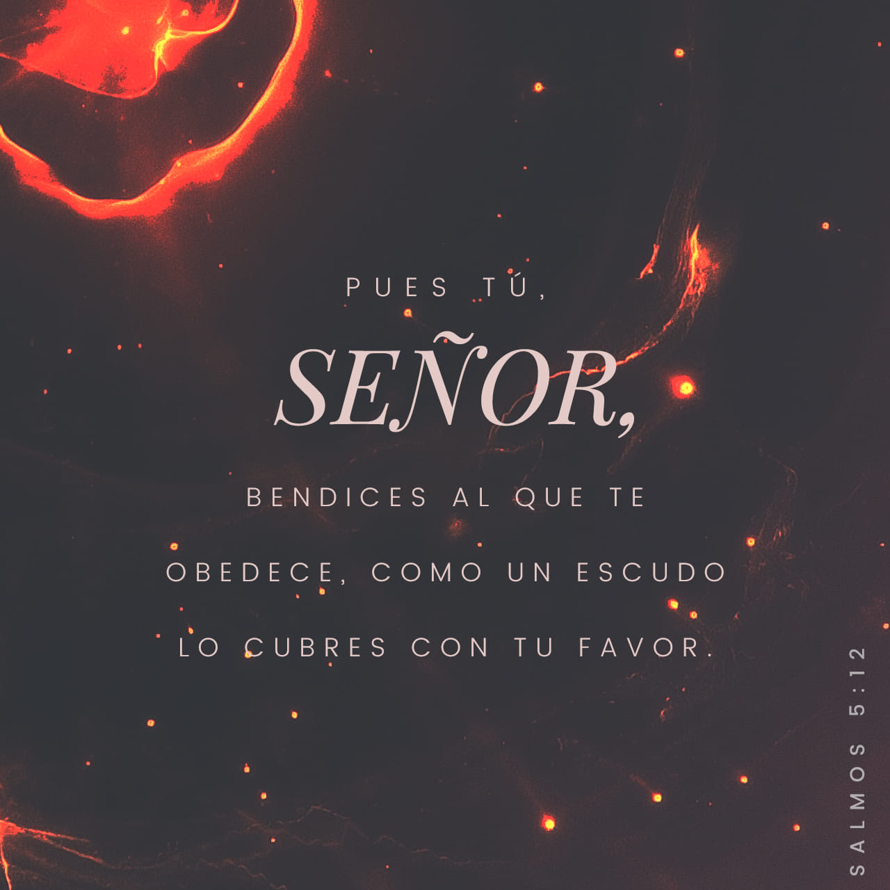 SALMOS 5:12 Porque tú, oh Jehová, bendecirás al justo; Como con un ...