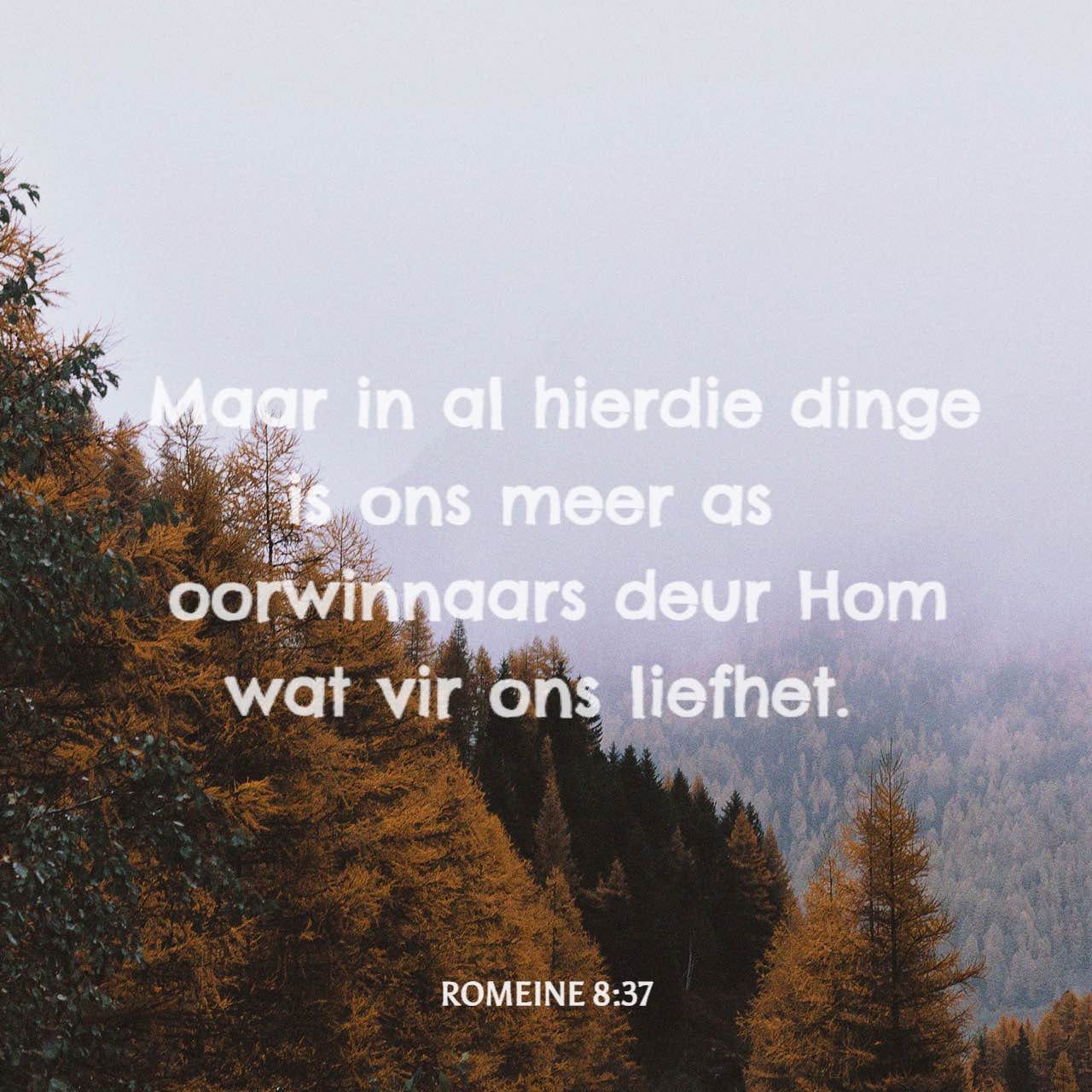 ROMEINE 8:37-39 (AFR83) - Maar in al hierdie dinge is ons mee | YouVersion