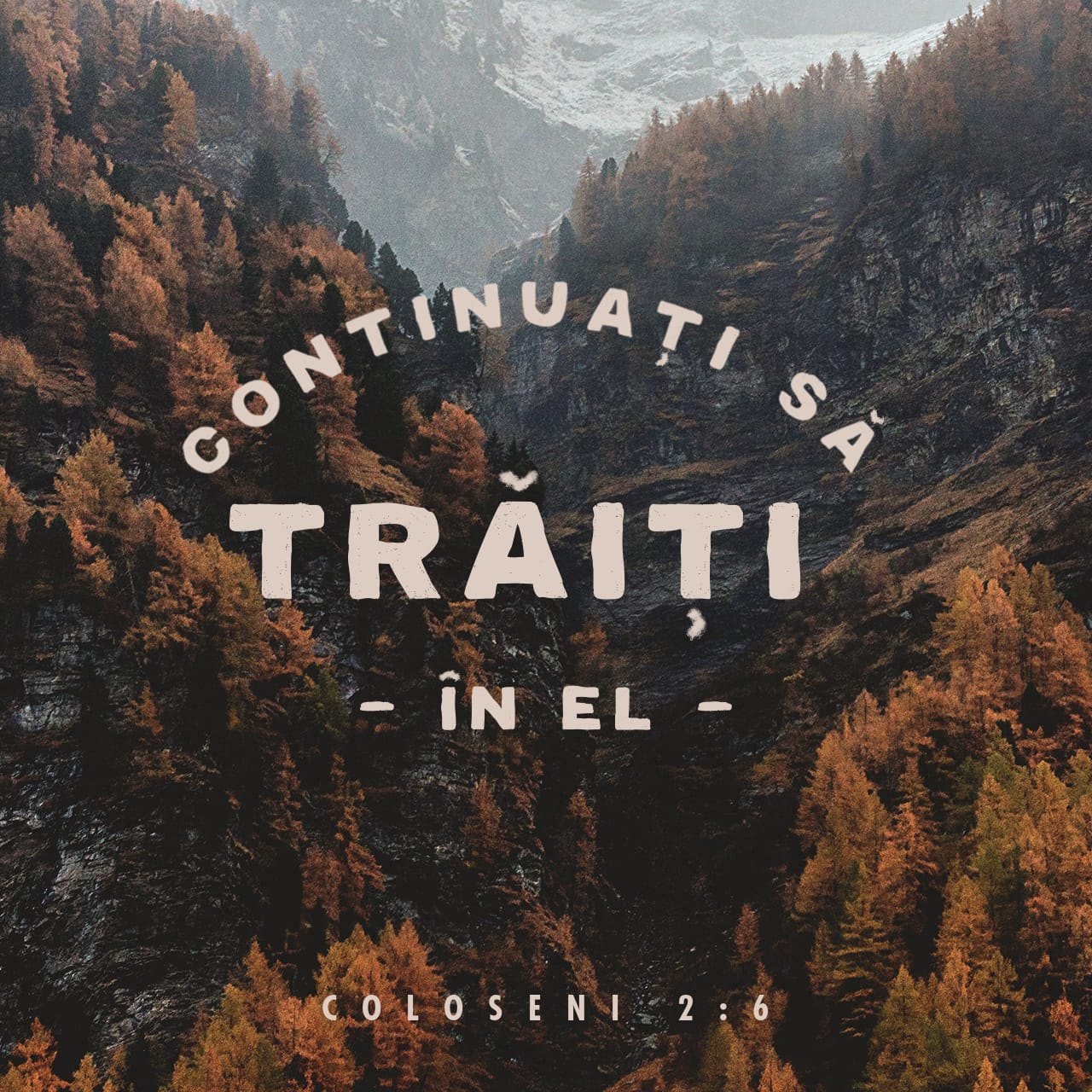 Coloseni 2:6-8 Prin urmare, așa cum L-ați primit pe Cristos Isus ...