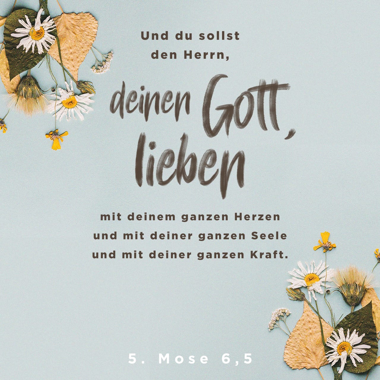 5. Mose 6:4-5 Höre Israel: Jahwe ist unser Gott, Jahwe allein! Und du ...
