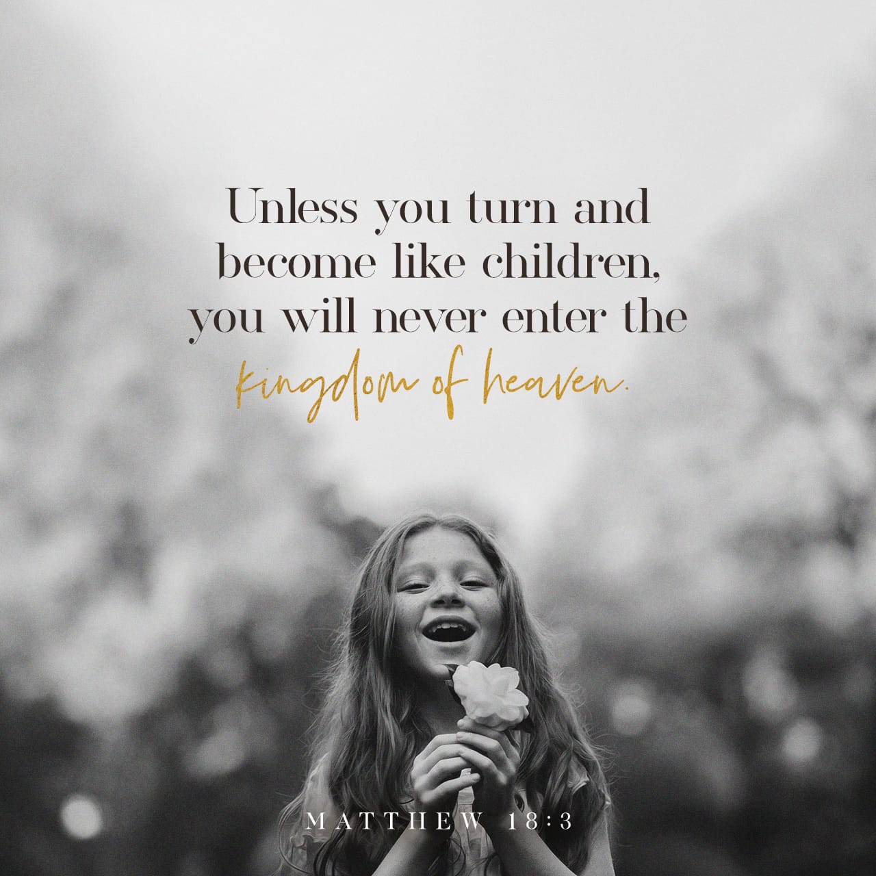 Matthew 18 3 5 And He Said Amen I Say To You Unless You Change And
