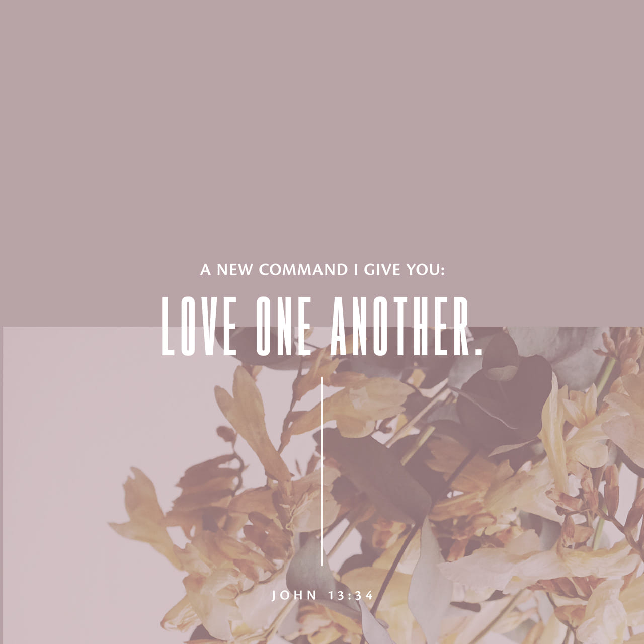 John 13:34-35 “A new command I give you: Love one another. As I have ...