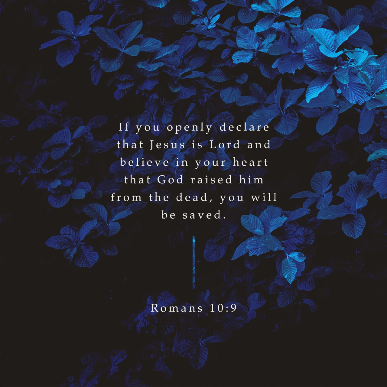 Romans 10 9 10 If You Declare With Your Mouth Jesus Is Lord And Romans 10 9 10 If You Declare With Your Mouth Jesus Is Lord And