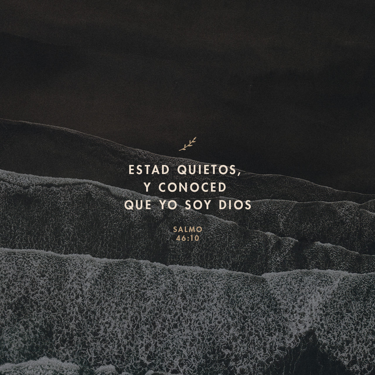 Salmos 46:10 Estad quietos, y conoced que yo soy Dios; Seré exaltado ...