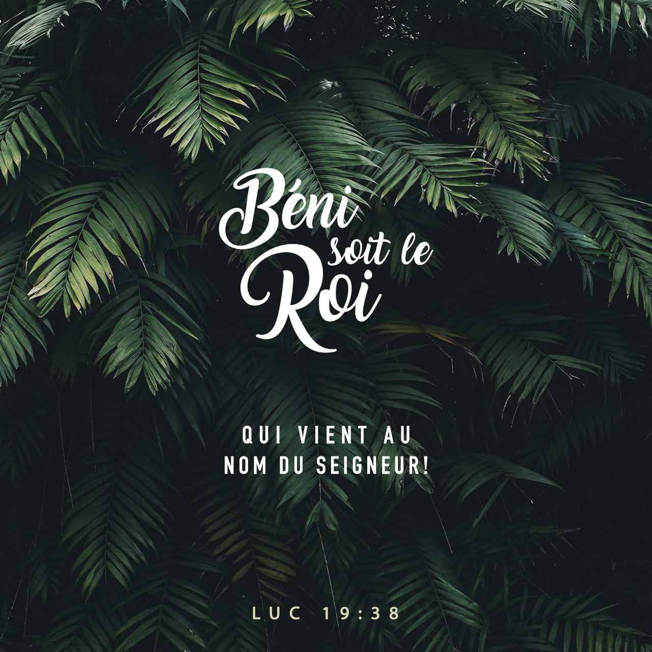 Luc 19:38 Béni soit le roi qui vient au nom du Seigneur , disaient-ils ...