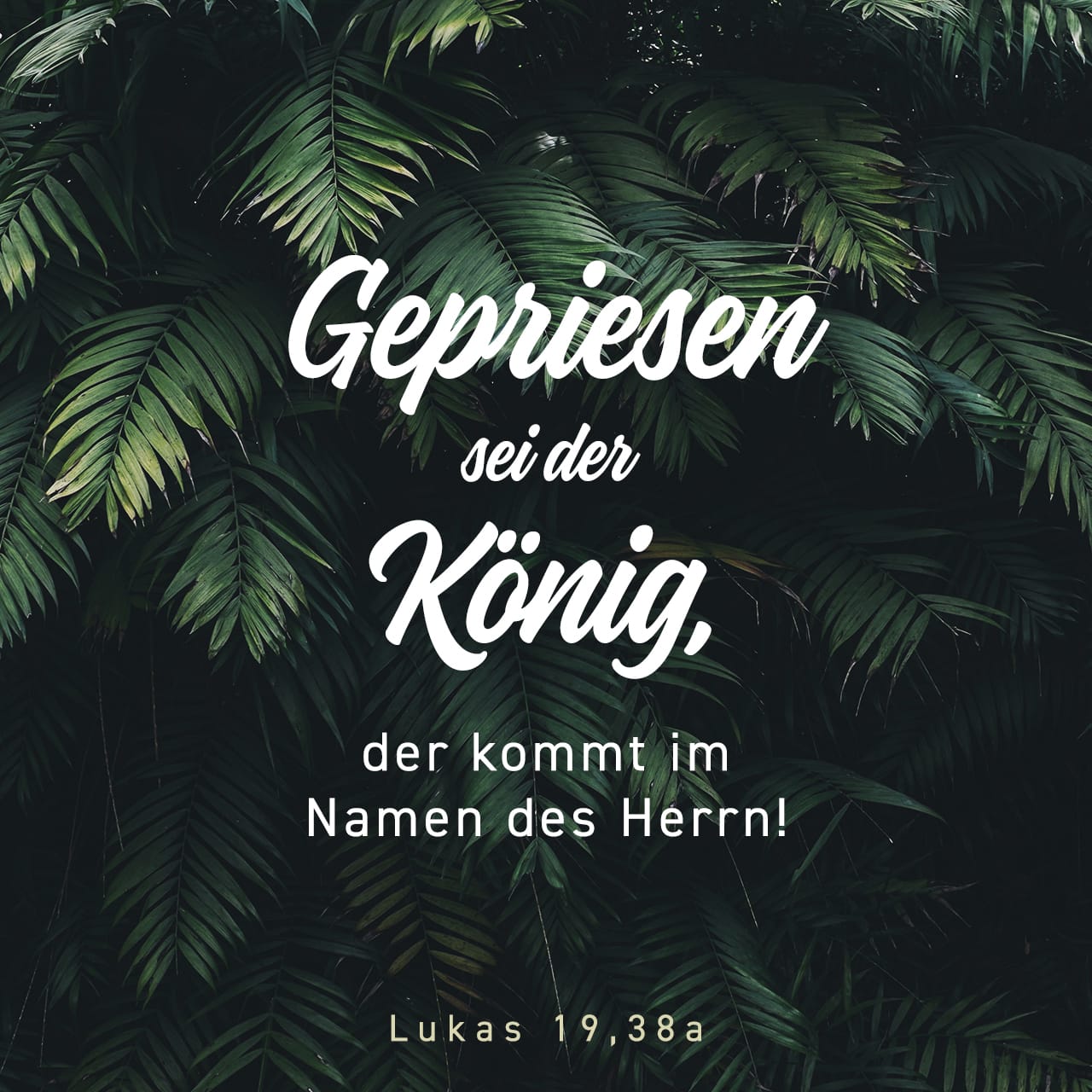 Lukas 19:28-40 Nachdem Jesus dieses Gleichnis erzählt hatte, ging er ...