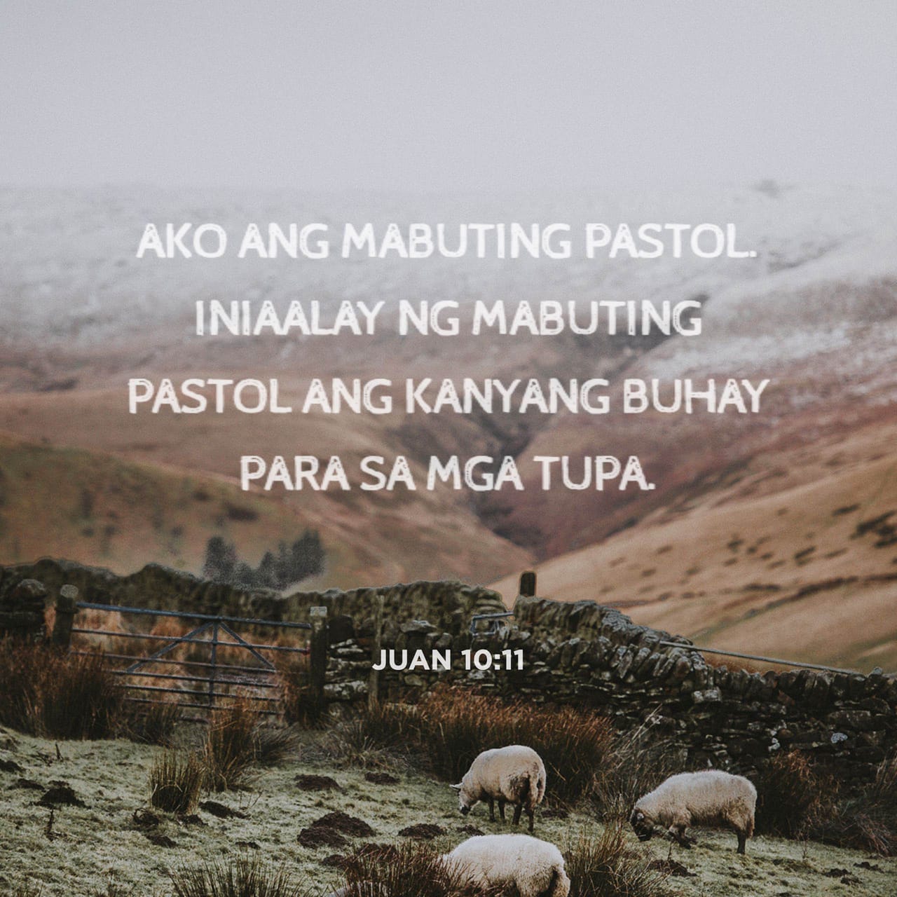 Juan 10:11 “Ako ang mabuting pastol. Iniaalay ng mabuting pastol ang ...