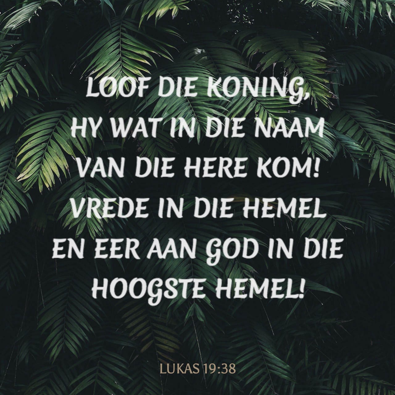 LUKAS 19:28-40 Nadat Jesus hierdie dinge gesê het, het Hy voor hulle ...