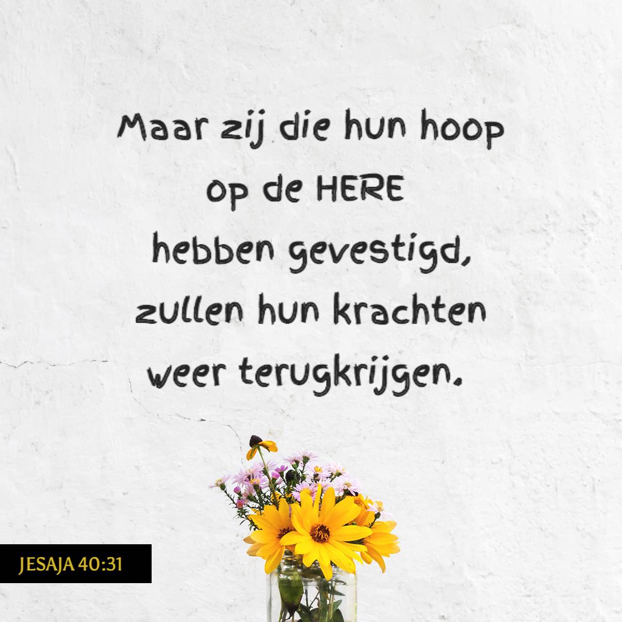 Jesaja 40:31 Maar mensen die op de Heer vertrouwen, zullen nieuwe kracht krijgen. Ze zullen ...
