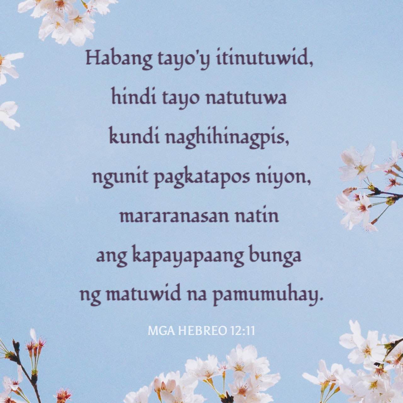 Mga Hebreo 12:11 Habang tayo'y itinutuwid, hindi tayo natutuwa kundi ...