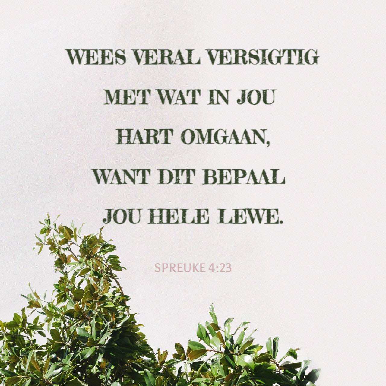 SPREUKE 4:23 Wees veral versigtig met wat in jou hart omgaan, want dit ...