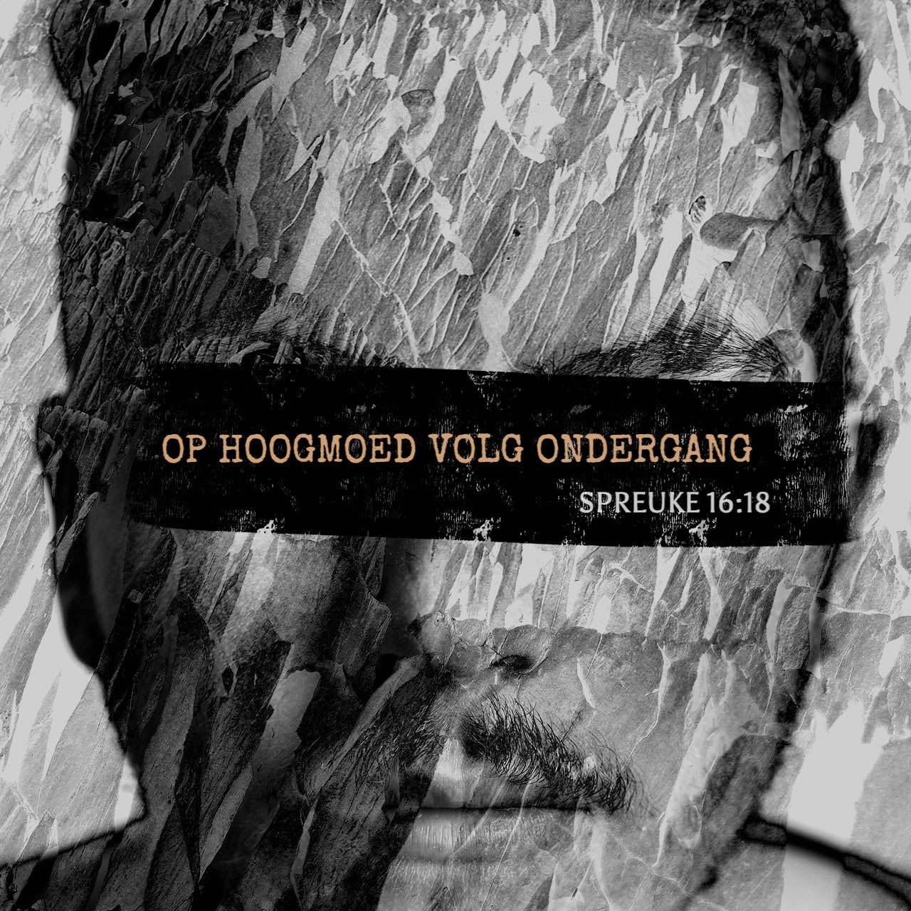 SPREUKE 16:18 (AFR83) - Op hoogmoed volg ondergang, op self | YouVersion