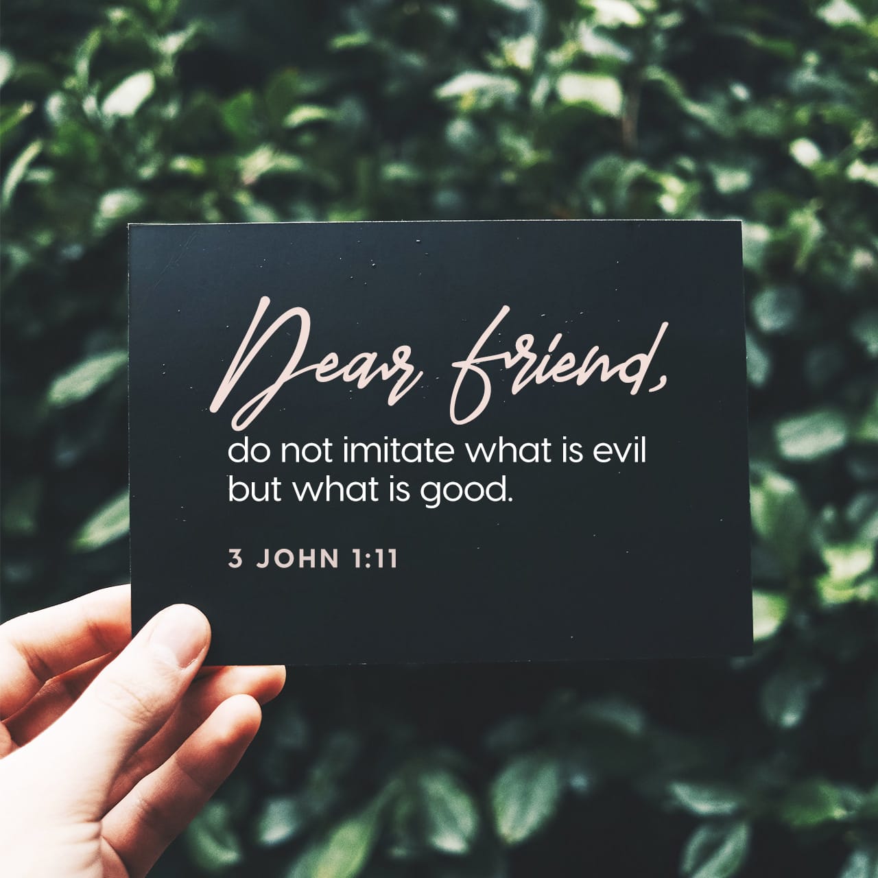 3 John 1 11 Beloved Follow Not That Which Is Evil But That Which Is