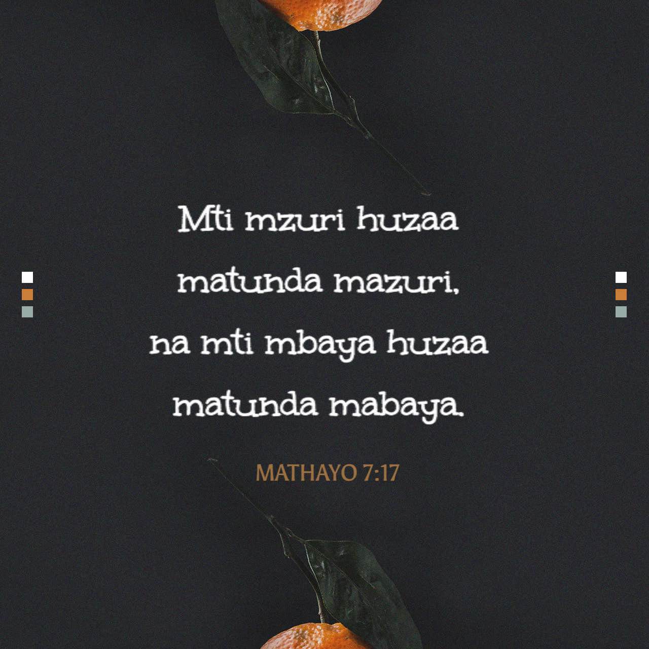 Mathayo 7:16-20 (BHN) - Mtawatambua kwa matendo yao. Je, wa | YouVersion