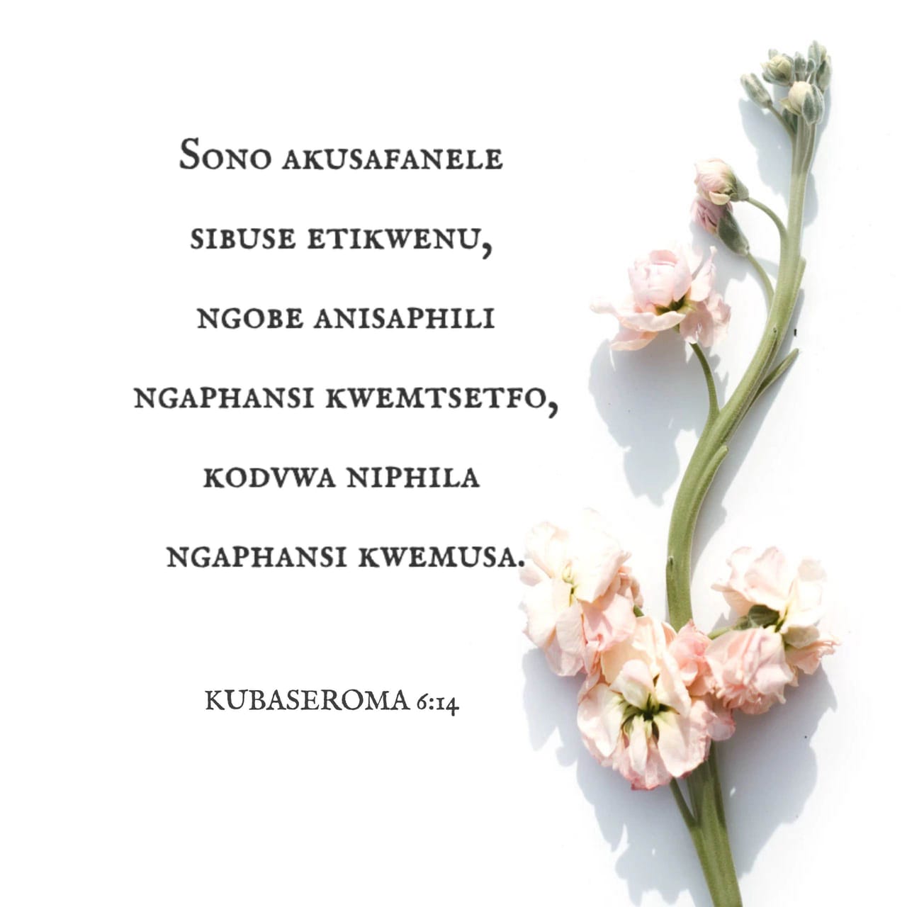 Rum 6:1-14 Tuseme nini basi? Tudumu katika dhambi ili neema izidi kuwa ...